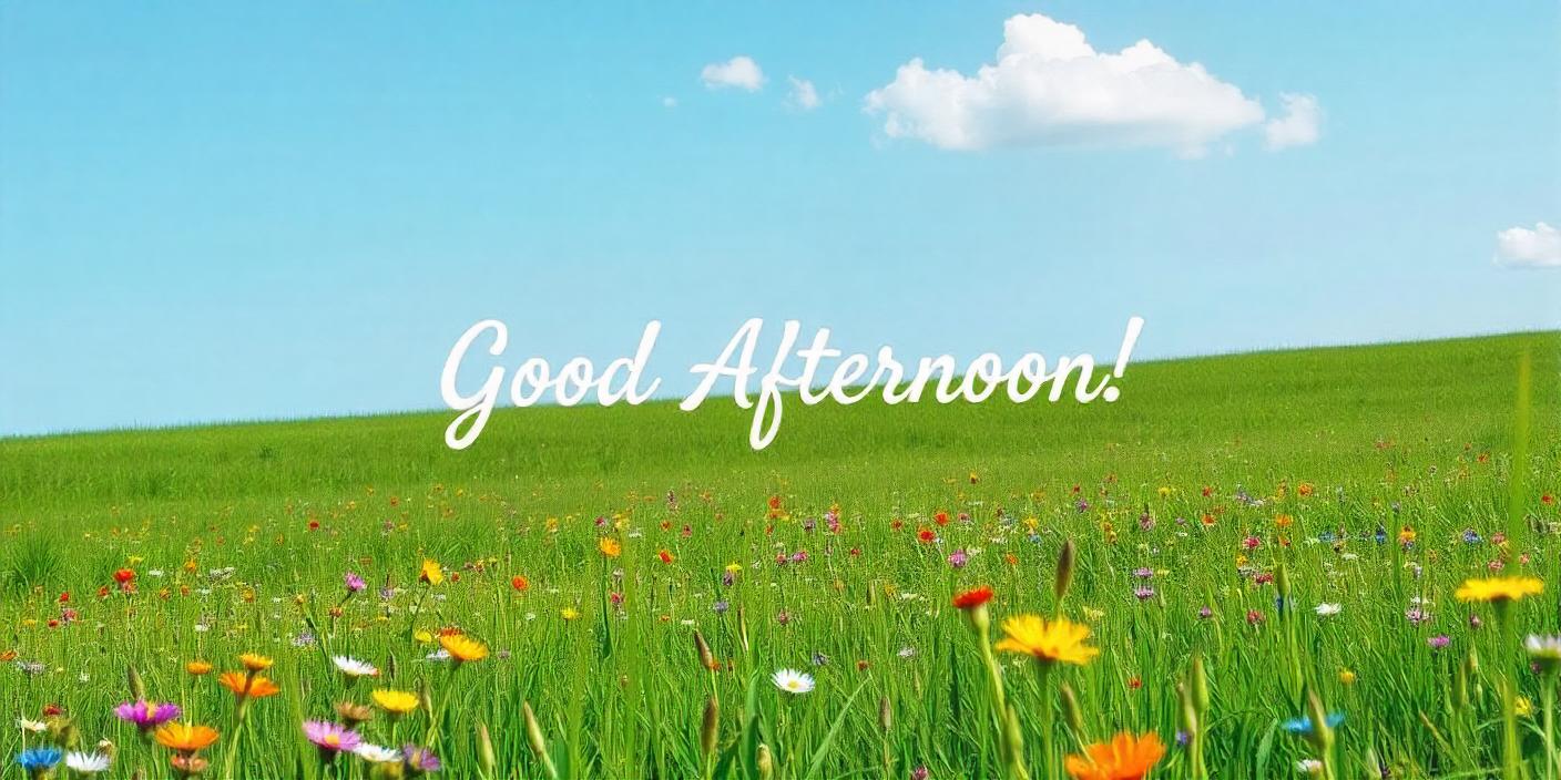 125 Best Good Afternoon GIFs to Brighten Someone’s Day